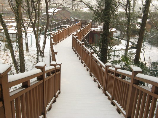 Chinese factory outer handrail round railing composite A color solid wood WPC railing
