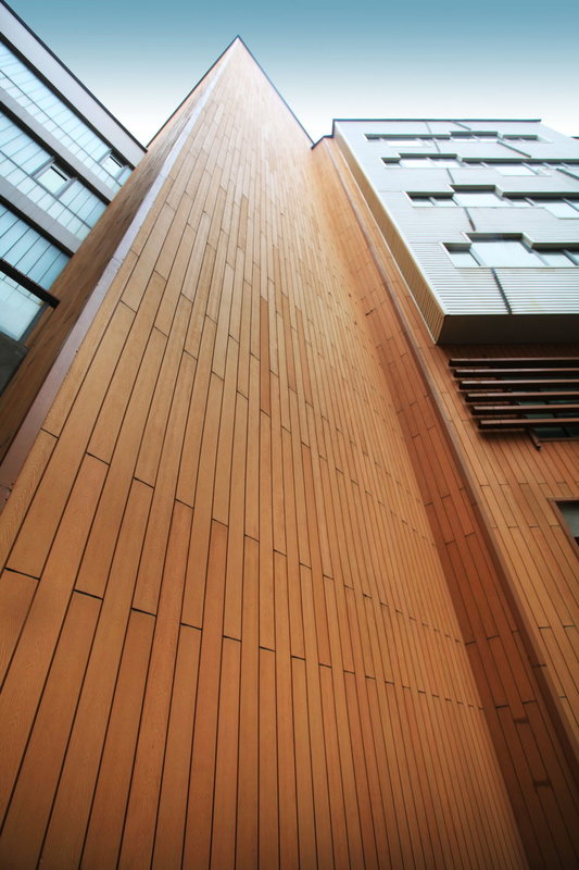 Cheap Price Co extrusion Board Exterior WPC Outdoor Wall Panel WPC Wall Cladding