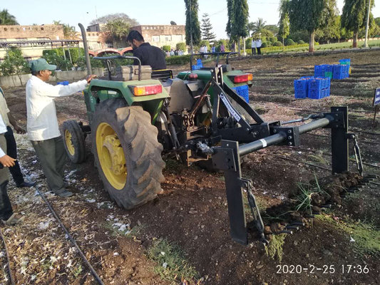 Vibrating Subsoil Garlic Reaper Tomato Reaper With Good Price To India