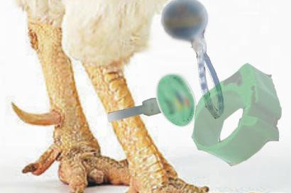 Hairy crabs anti-counterfeiting plastic ring foot pressing machine