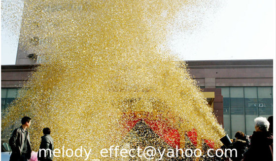 Confetti Machine at Factory Price Special Effects Confetti Cannon Wedding