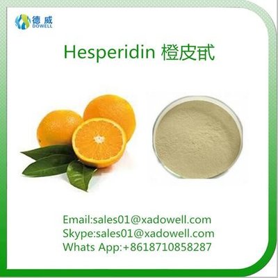 Citrus Aurantium Extract Hesperidin CAS No：520-26-3