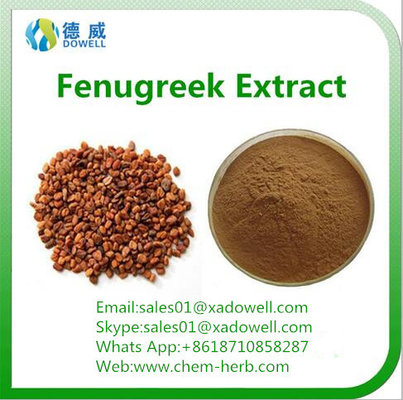100 Natural Top quality Natural Organic Fenugreek seed Extract
