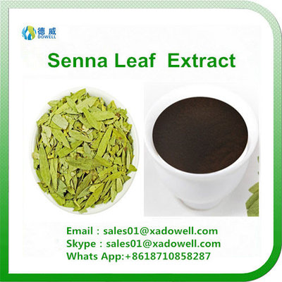 Herb extract- senna leaf extract 8% 10% 20%