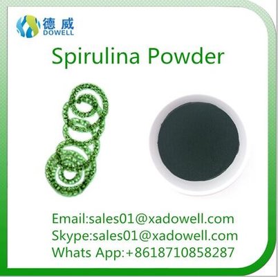 Factory Supply 100% Natural Extract Powder of Organic Spirulina