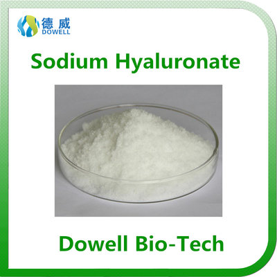 Hot selling Food/Cosmetic Grade Sodium Hyaluronate powder