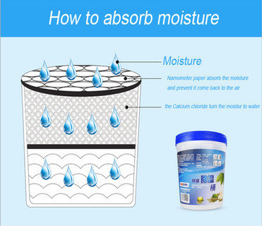 185g/240g/260g/300g Households Dehumidifier Calcium Chloride Granules Humidity Control Storage Box