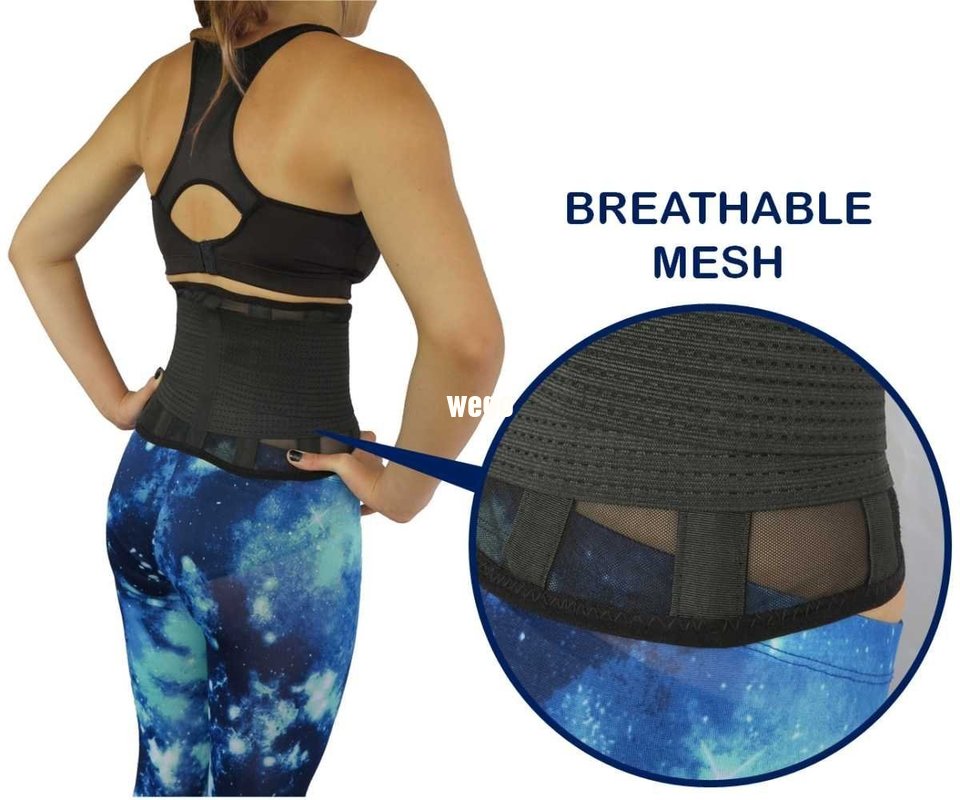 Breathable Mesh Lower Back Pain Relief Lumbar Support Belt for Treatment of Sciatica