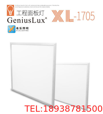 LED engineering panel light  36W 48W Square LED 85-265V 2 Years Warranty Panel Light