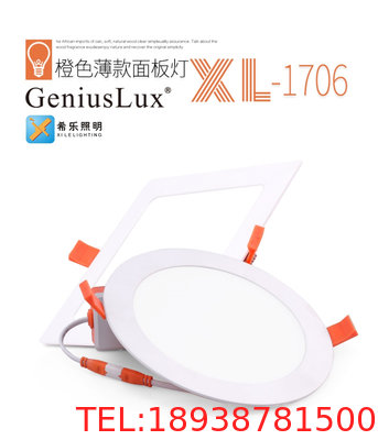 Orange thin section LED Panel lights 3W 6W 12W 18W  Round/Square LED 85-265V 2 Years Warranty Panel Light