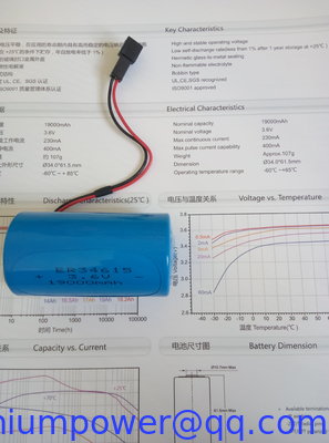 nonchargeable ER34615 C size lithium batteries manufacturer supplier