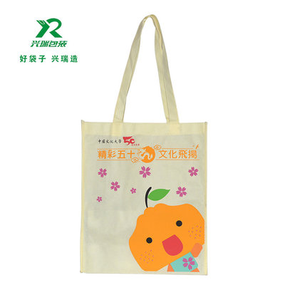 Non woven bags wholesale reusable bags for bulk food items reusable bags shop vac gocery bag eco friendly  shopping bag