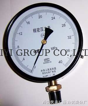 Precision Pressure Gauge YB150 (0.1-1MPa)