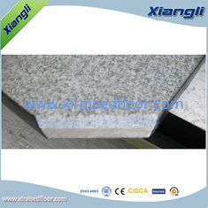 FS1250 Cement infill steel raised floor granite finish,610mmX610mmX35mm