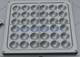 Border Pedestal Trunking Raised Floor , Office Raised Floor System