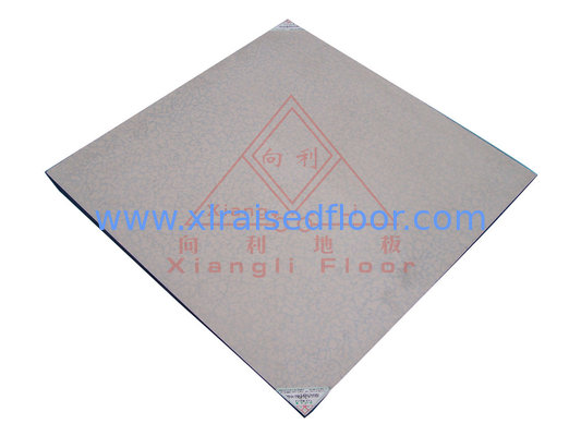 Anti Static Raised Computer Room Floors with Flat Head Pedestal