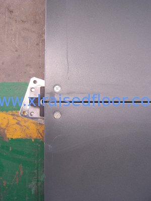 Dust Proof OA Anti Static Raised Access Flooring with Cross Head Pedestal