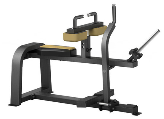 Fit Seated Calf  XC842