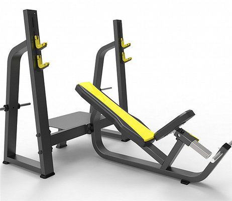 Branding machines Olympic Bench Incline  XC828