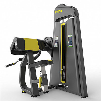 Workout Camber curl   XC818
