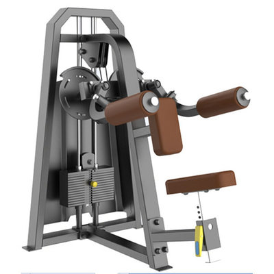 Pulley Lateral Raise XC806