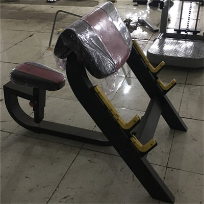 Hd elite power rack Seated Preacher Curl  XC824