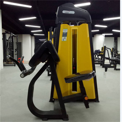 Workout Camber curl   XC818