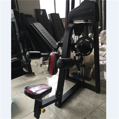 Pulley Lateral Raise XC806