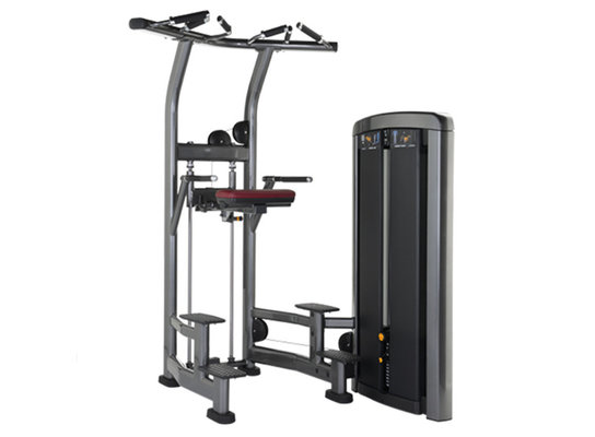 gym equipment Assist Dip Chin XH902