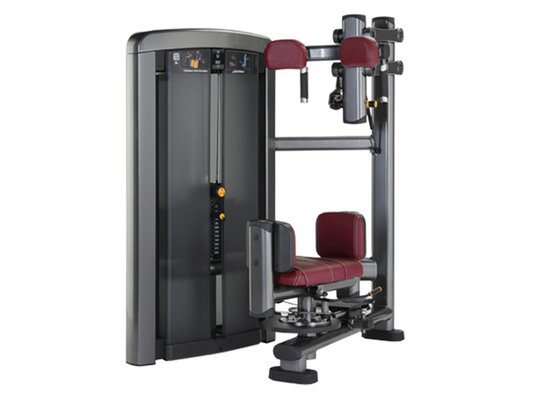 gym equipment Torso Rotation XH904