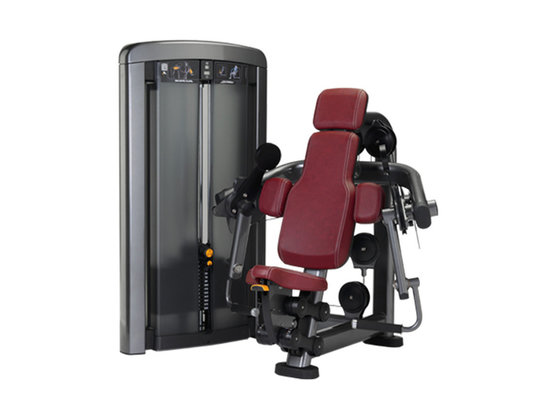 gym equipment  Biceps Curl XH907
