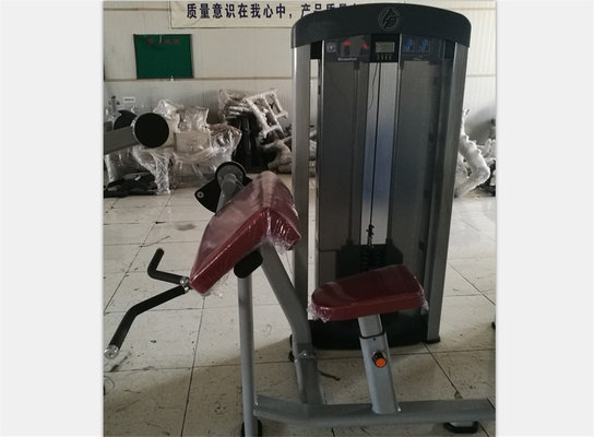 gym equipment  Biceps Curl  XH907B