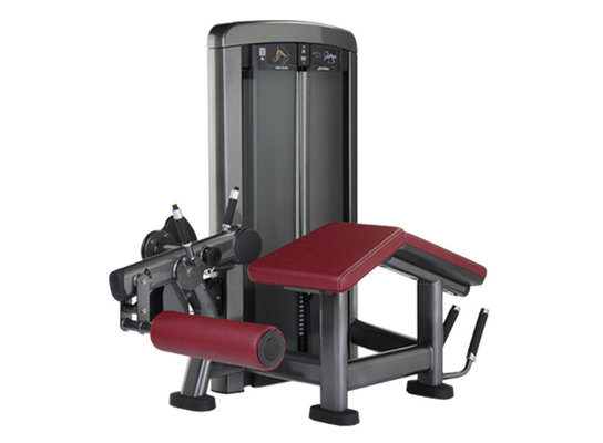 gym equipment  Leg Curl XH919