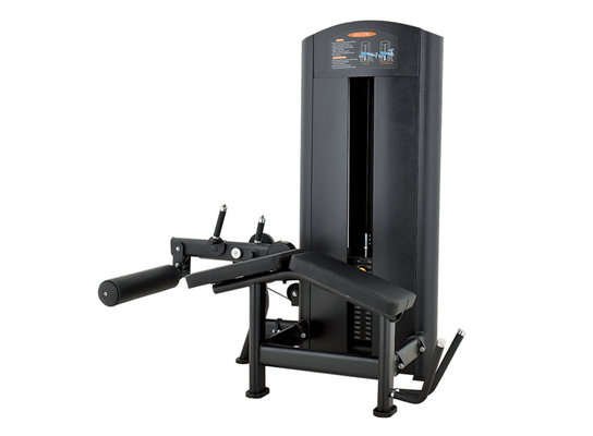 fitness equipment Prone Leg Curl XF13