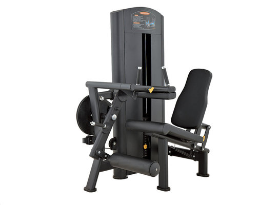 fitness equipment Seated Leg Curl XF14