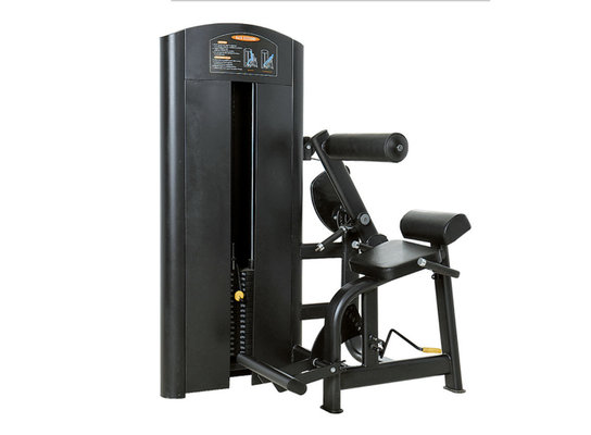 fitness equipment Back Extension XF20