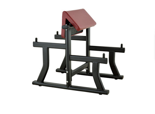 standing dumbbell barbell curl Arm Curl Benchl XF33