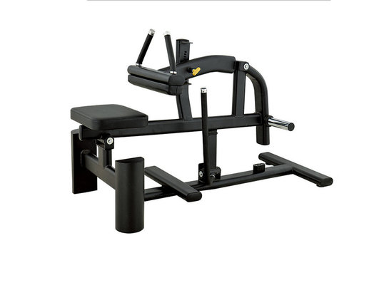 barbell calf seated Calf  Raise XF40