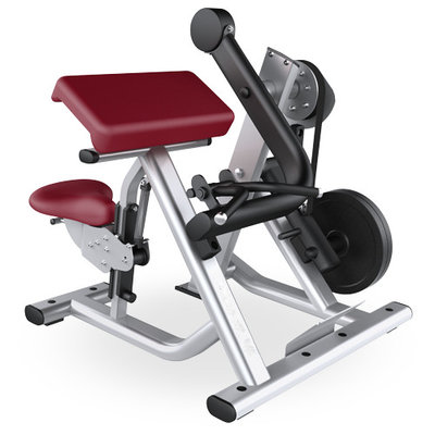 alternate bicep Bicep Curl XH946