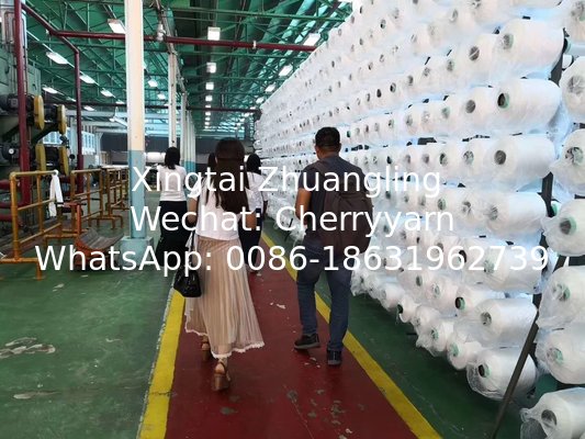 DTY Factory 100% Polyester 150D/48F SD NIM RW White Polyester Textured Yarn for Knitting and Weaving