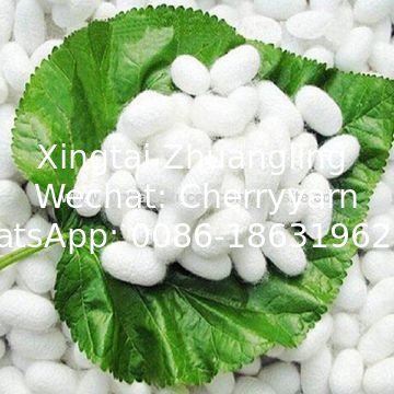 Raw Silk yarn 20/22D Mulberry raw Silk yarn 4A 5A 6A for Knitting and weaving from CHina