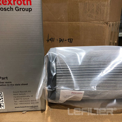 R928006863 Hydraulic Filter Cartridge 2.0250H10XL-A00-0-M Rexroth Filter