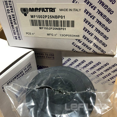Mahle  Hydraulic Oil Filter PI8205DRG25