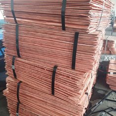 Cheap price 99.99% pure copper cathode / cathode copper