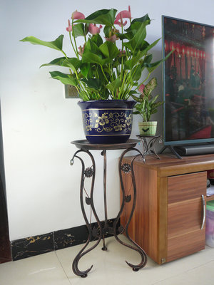 Standing metal flower pot rack,  Metal Pot with Stand Planter Garden Home Decor Flower Display Rack