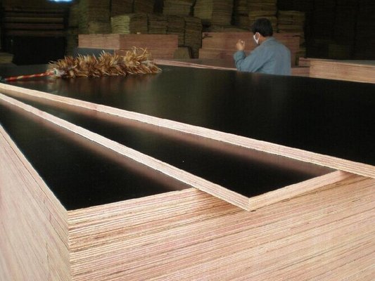Brand new 1250X2500mm construction wood concrete formwork plywood for Belgium