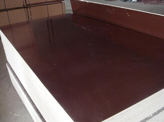 Brand new 1250X2500mm construction wood concrete formwork plywood for Belgium