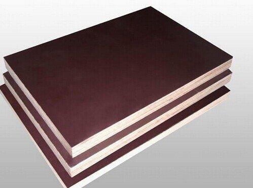 Brand new 1250X2500mm construction wood concrete formwork plywood for Belgium
