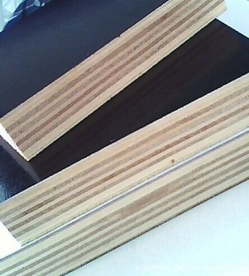 Brand new 1250X2500mm construction wood concrete formwork plywood for Belgium