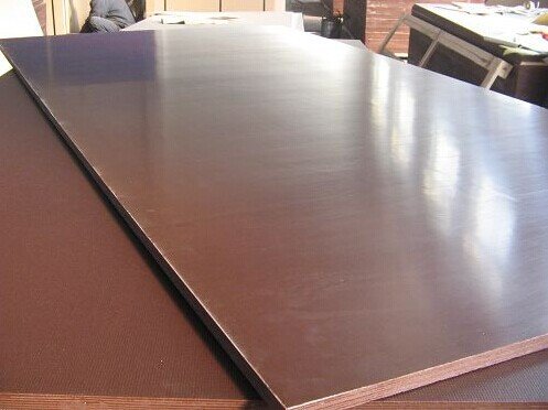 Brand new 1250X2500mm construction wood concrete formwork plywood for Belgium